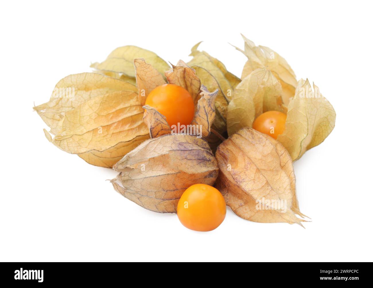 Calyxes Cut Out Stock Images & Pictures - Alamy
