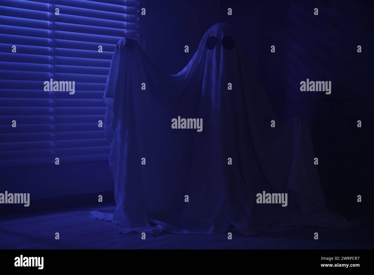 Creepy ghost. Woman covered with sheet near window in blue light Stock ...
