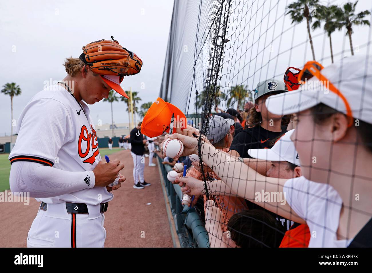 SARASOTA, FL - MARCH 13: Baltimore Orioles second baseman Jackson ...