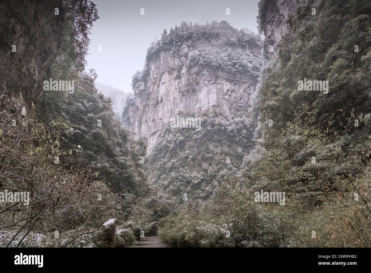 Wulong Karst limestone rock formations in Longshui Gorge Difeng, an ...