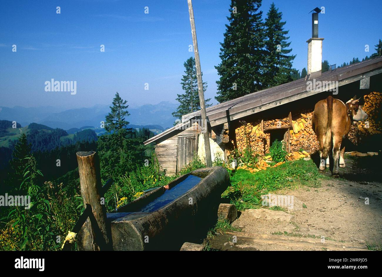 Alpine water trough hi-res stock photography and images - Alamy