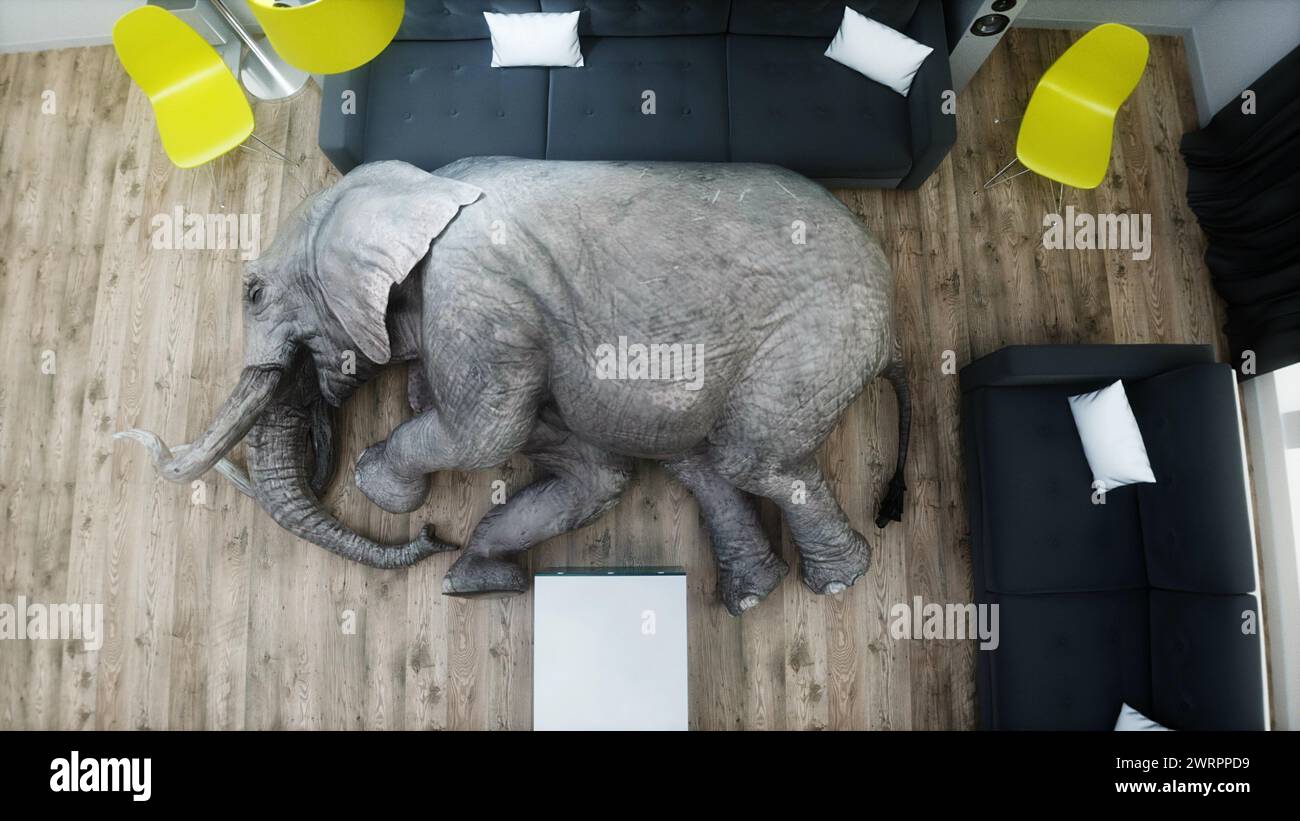 funny elephant sleeping in room. 3d rendering Stock Photo - Alamy