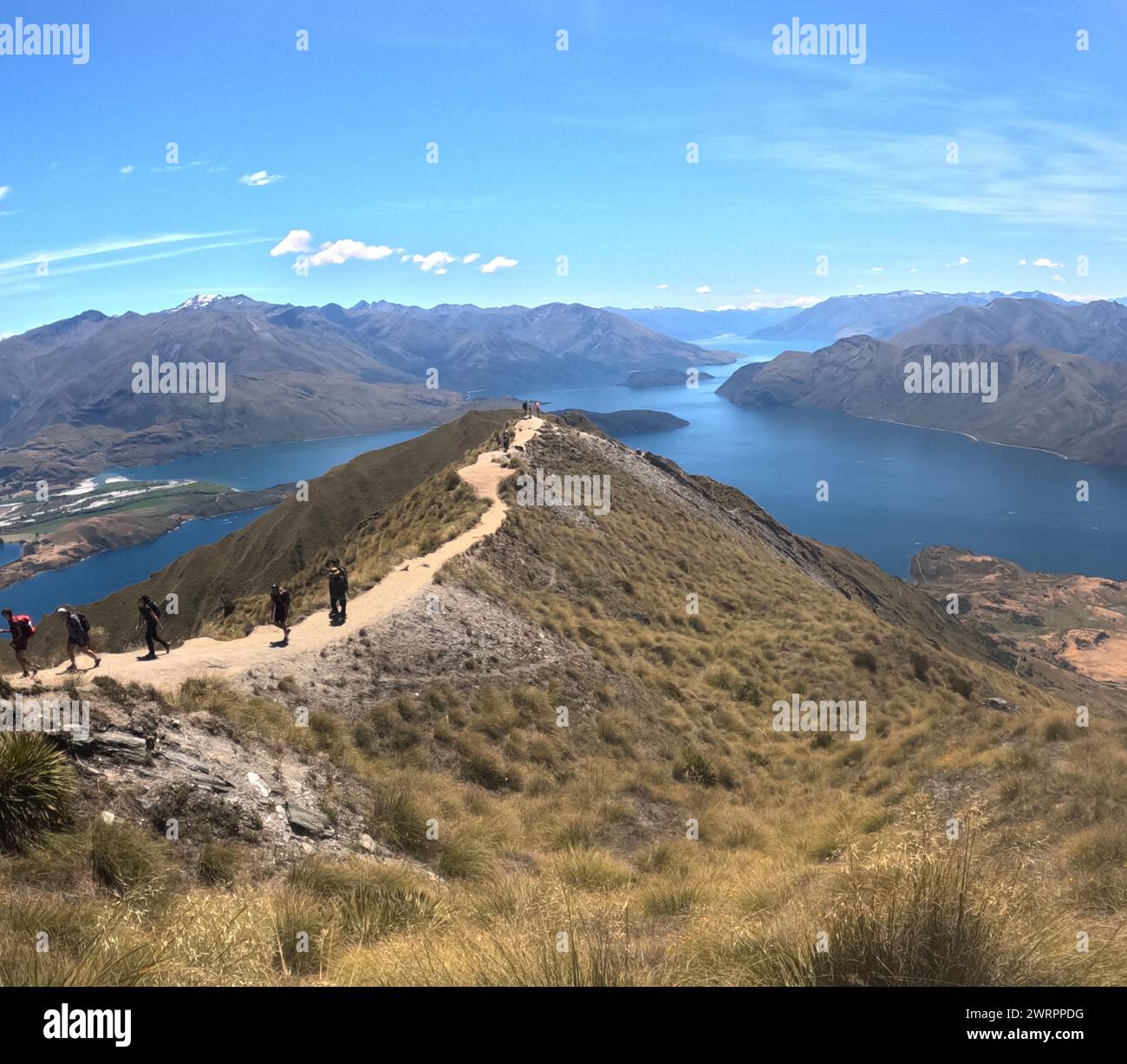 Roys Peak, situated amidst Wanaka and Glendhu Bay, is a prominent ...