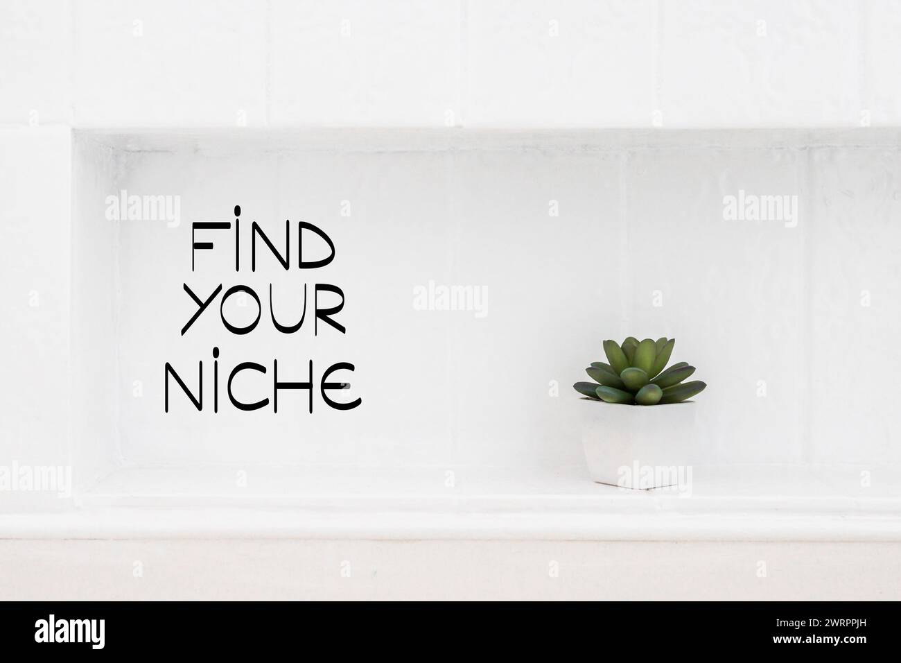 rectangular niche in white tiled wall with small decorative succulent ...