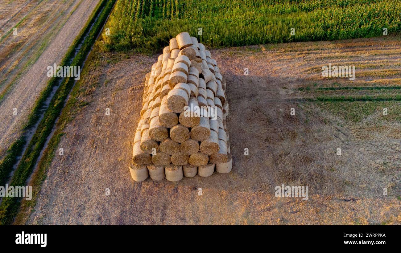 Many bales compressed dry hi-res stock photography and images - Alamy