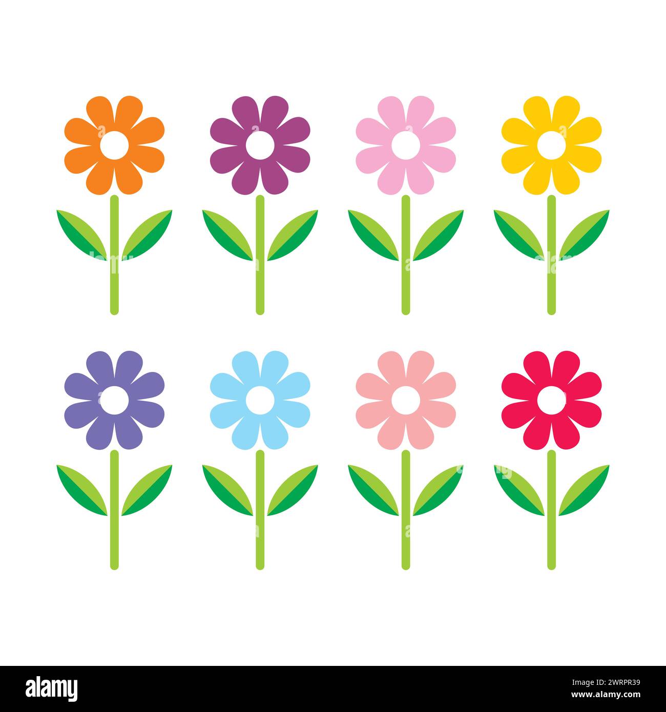 Camomile Set Daisy Chamomile Cute Flower Plant Collection Love Card Camomile Icon Growing