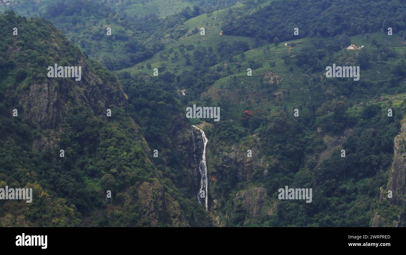 panoramic lush green nilgiri mountains and catherine waterfall at ...