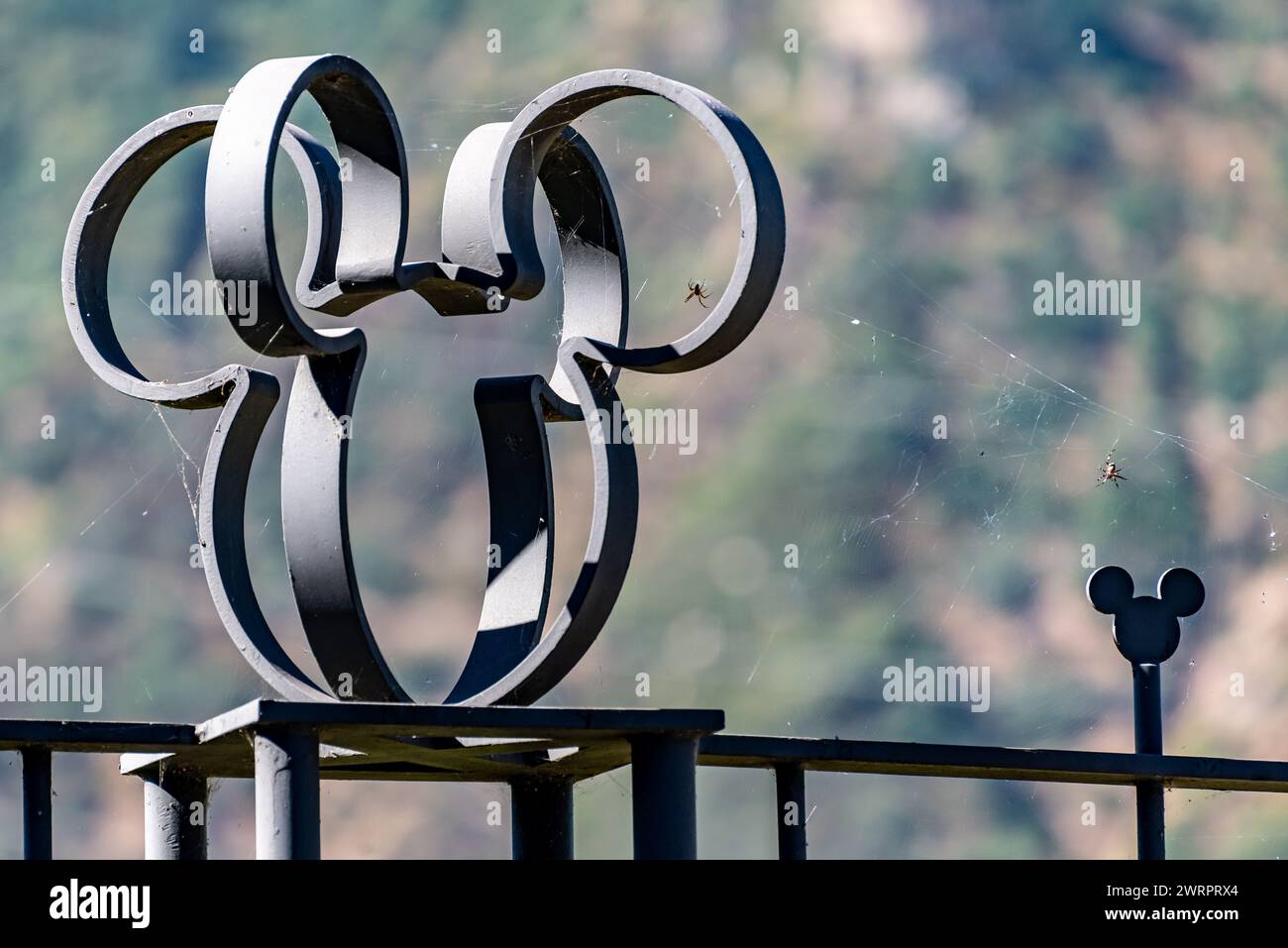 A closeup of spiders and spiderwebs on a Mickey Mouse on top of the ...