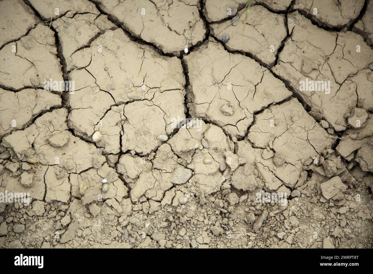 Detail of dry land due to climate change, destruction of the ...