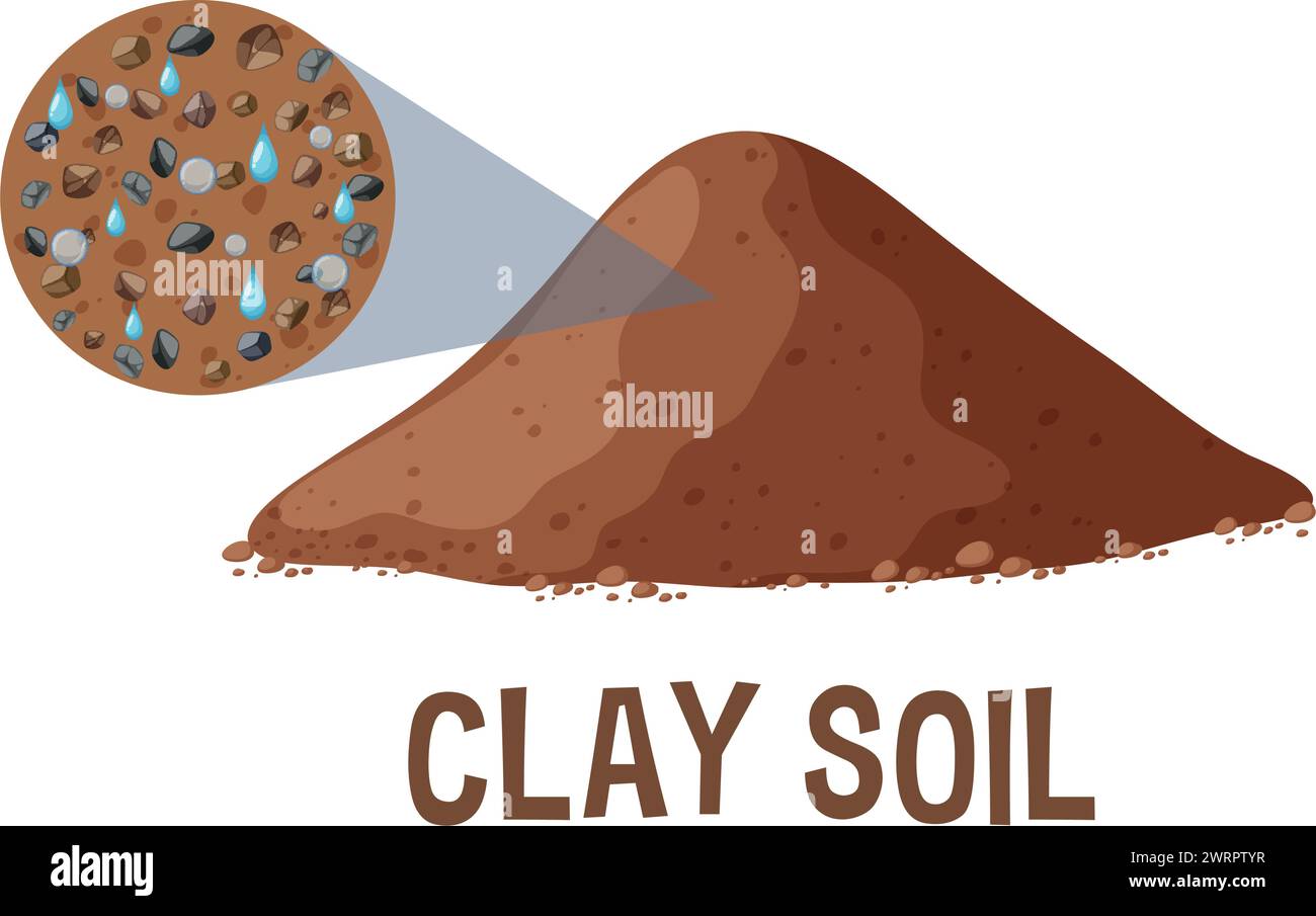 Detailed vector showing particles in clay soil Stock Vector Image & Art ...
