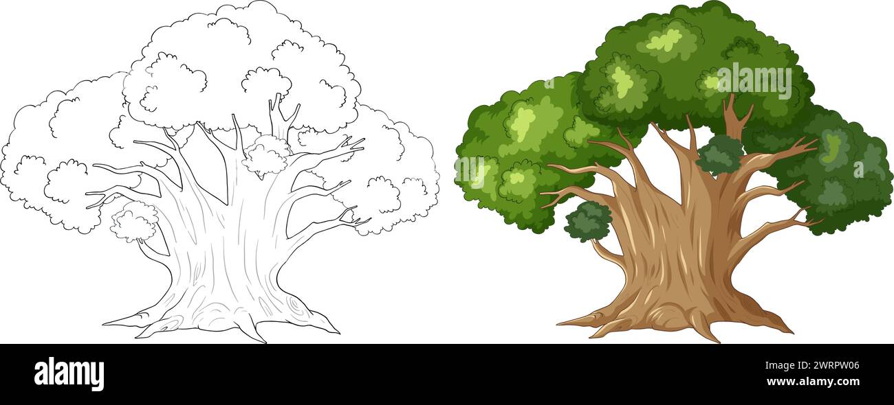 Illustration of a tree, from line art to colored Stock Vector Image ...