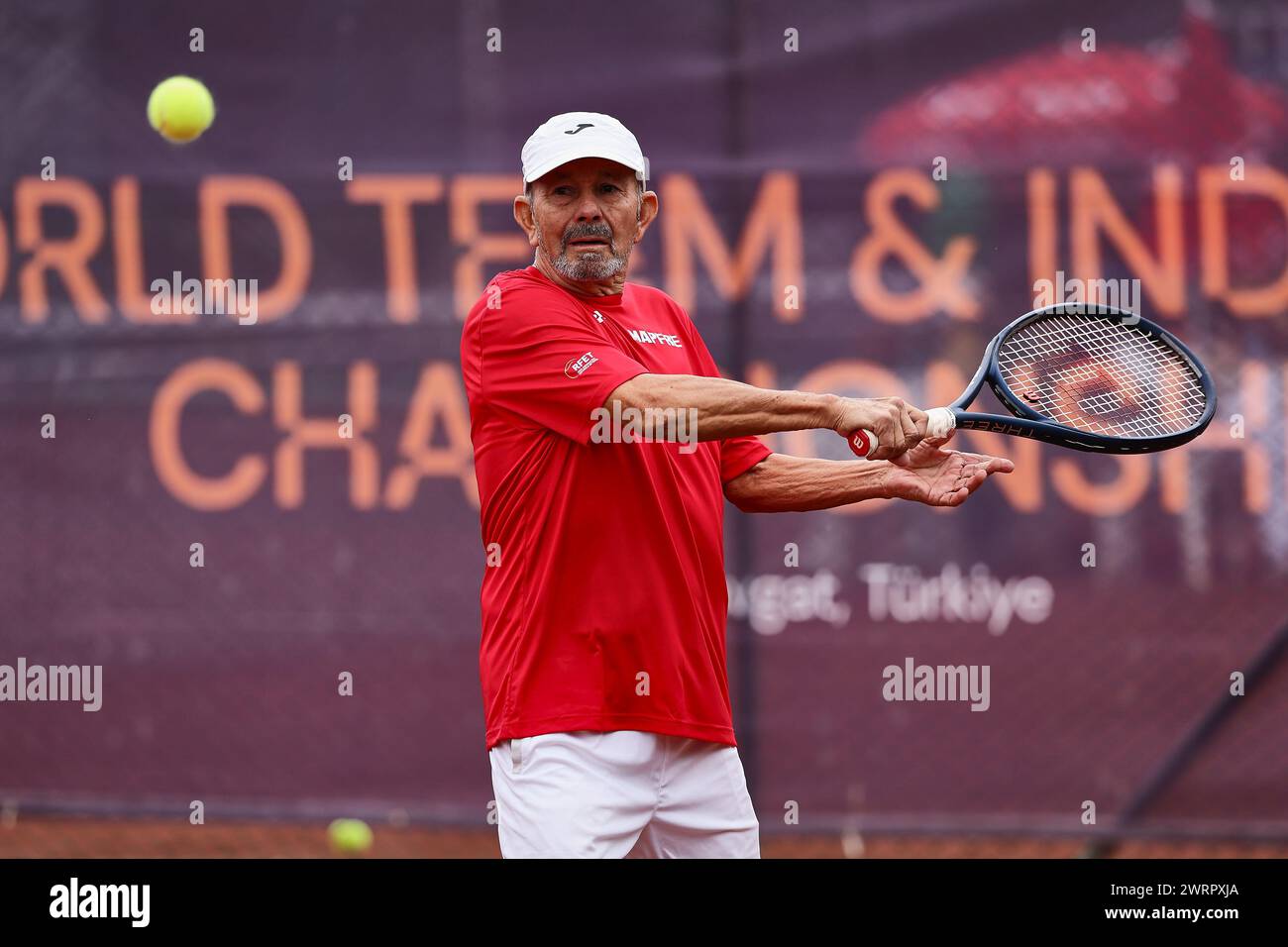 2024 0788 jpg hi-res stock photography and images - Alamy