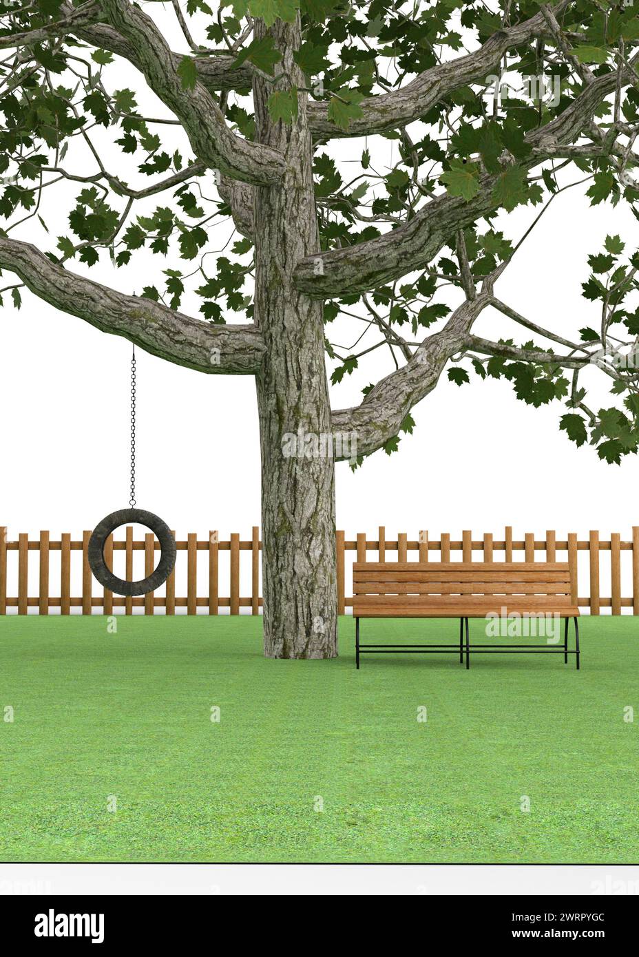 Big maple tree and tire swing, wooden bench on lawn grass, 3D ...