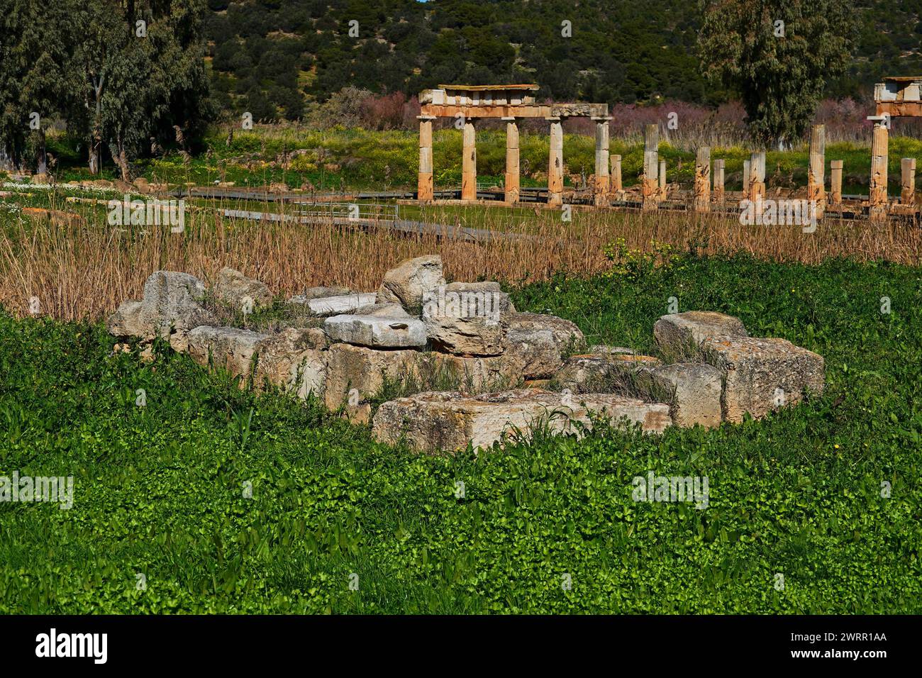 The altar in the ancient sanctuary of Artemis, near the temple, in ...
