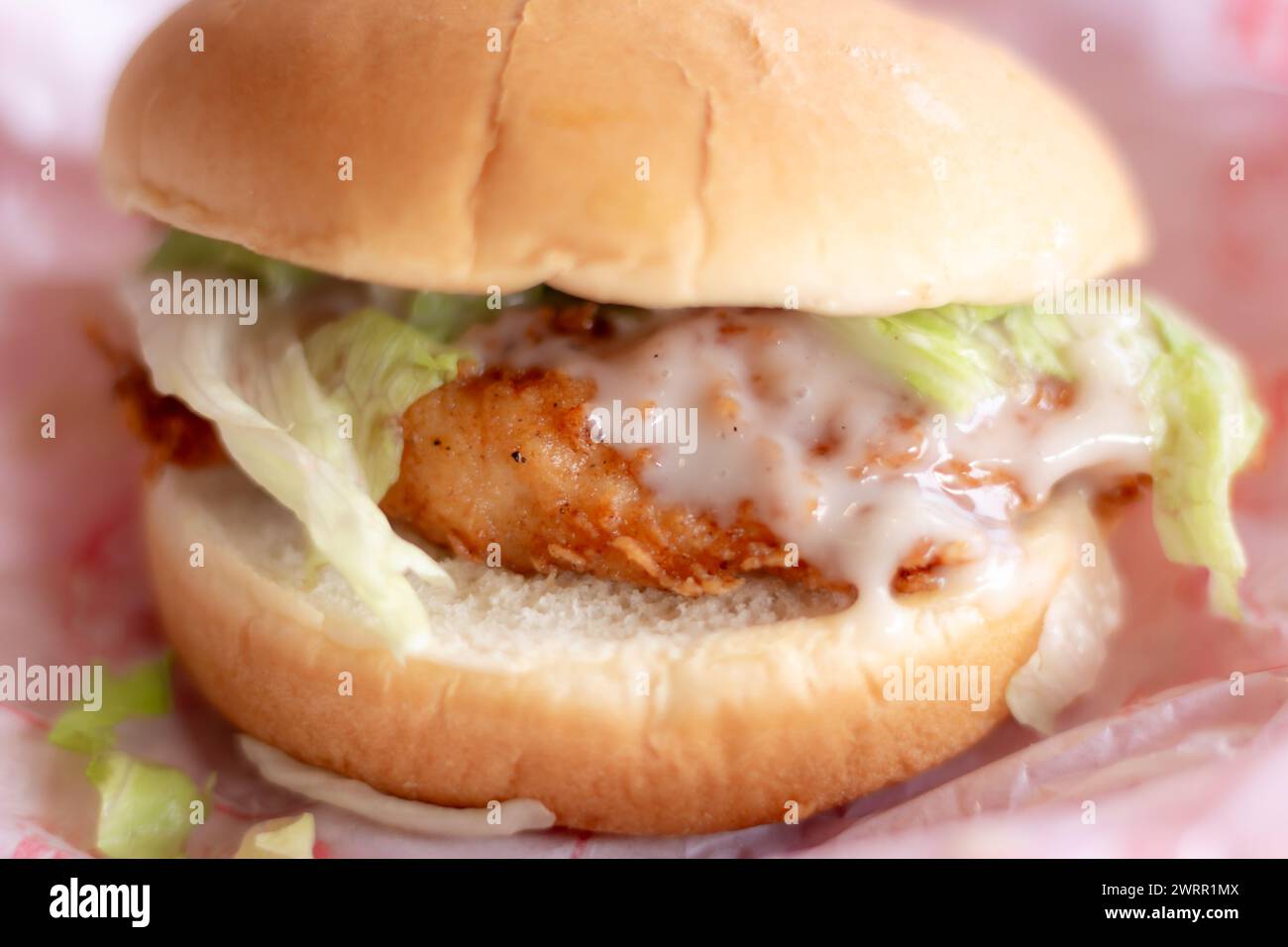 Hand holding chicken burger hi-res stock photography and images - Alamy