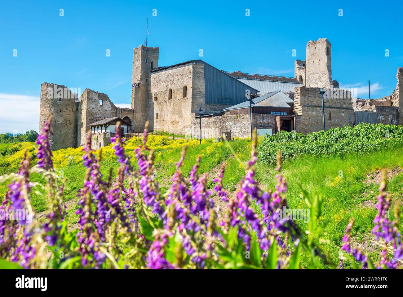View to walls and towers of medieval castle in Rakvere. Estonia, Baltic ...