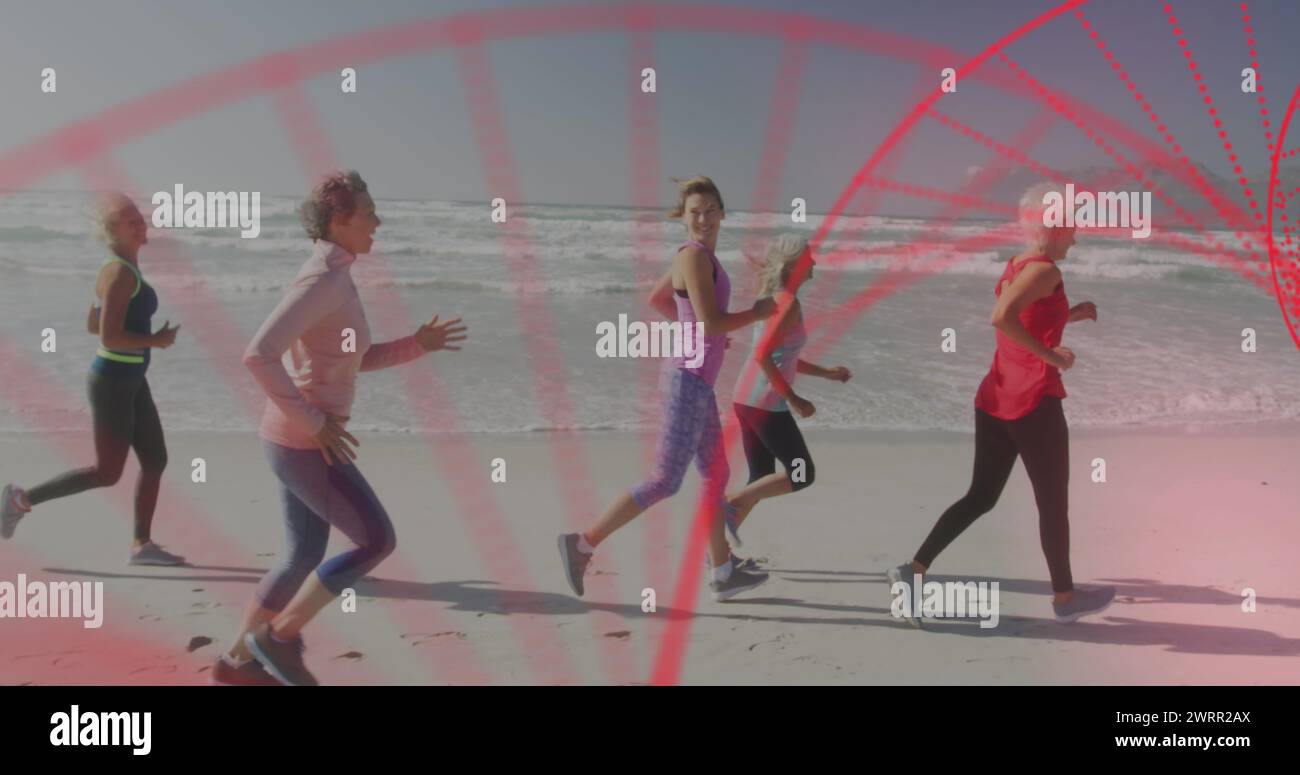 Image of spinning dna strand over caucasian senior group of woman ...