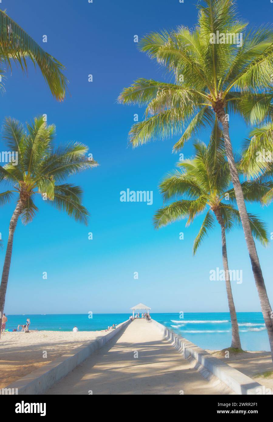 Palm tree, beach and resort walkway for travel on tropical island for ...