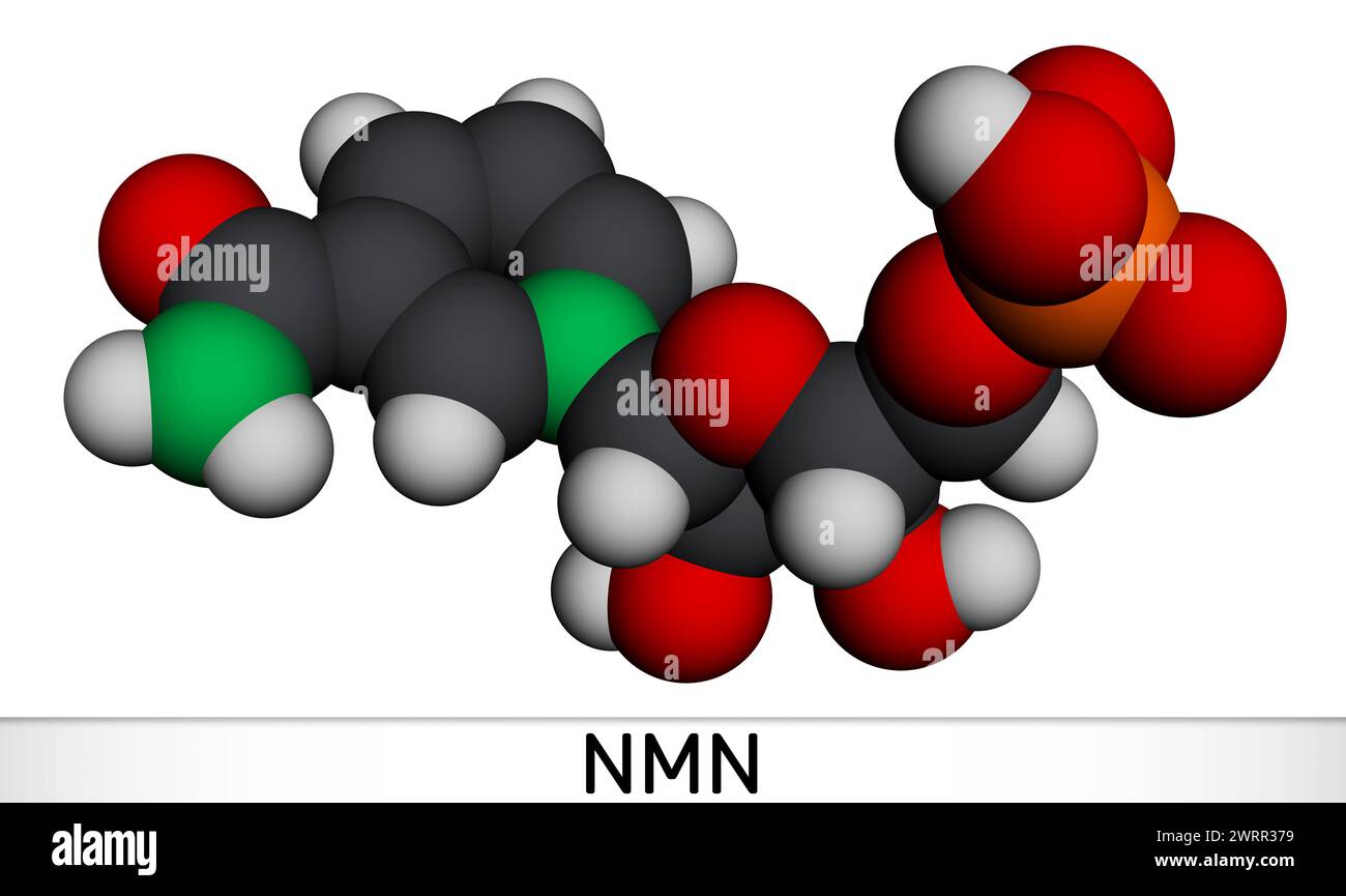 Nicotinamide mononucleotide, NMN molecule. It is naturally anti-aging ...