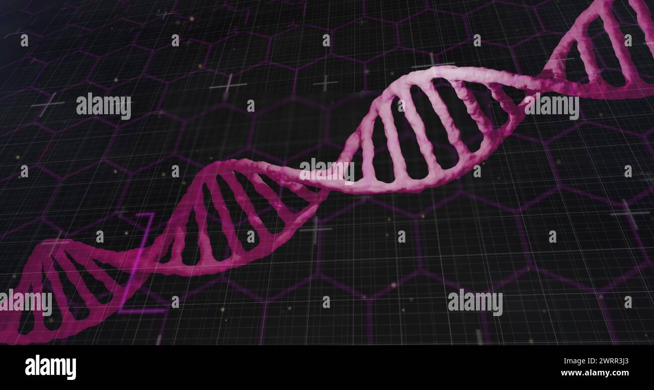 Image of shapes over dna strand Stock Photo - Alamy