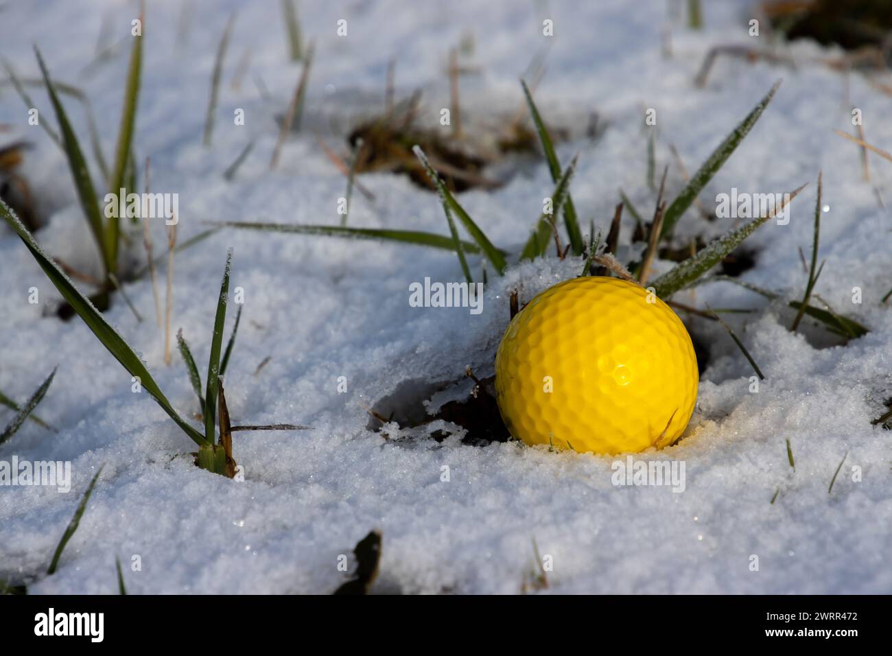 Golf ball in focus hi-res stock photography and images - Alamy