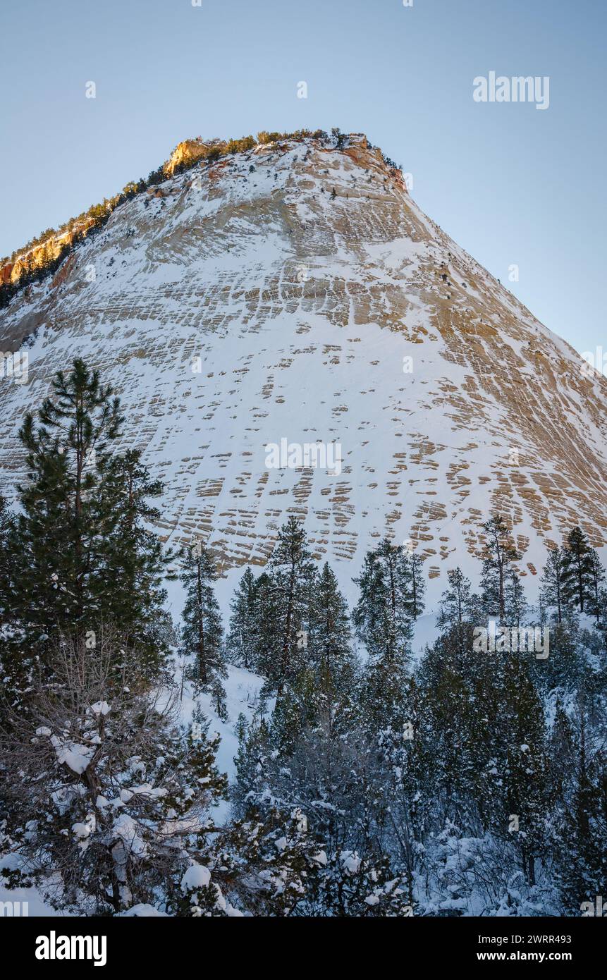 Checkerboard formation hi-res stock photography and images - Alamy