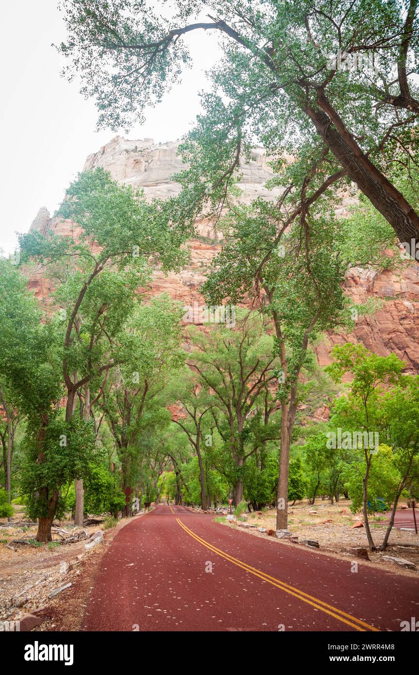 The Scenic Road Through Zion National Park in Utah, USA Stock Photo - Alamy