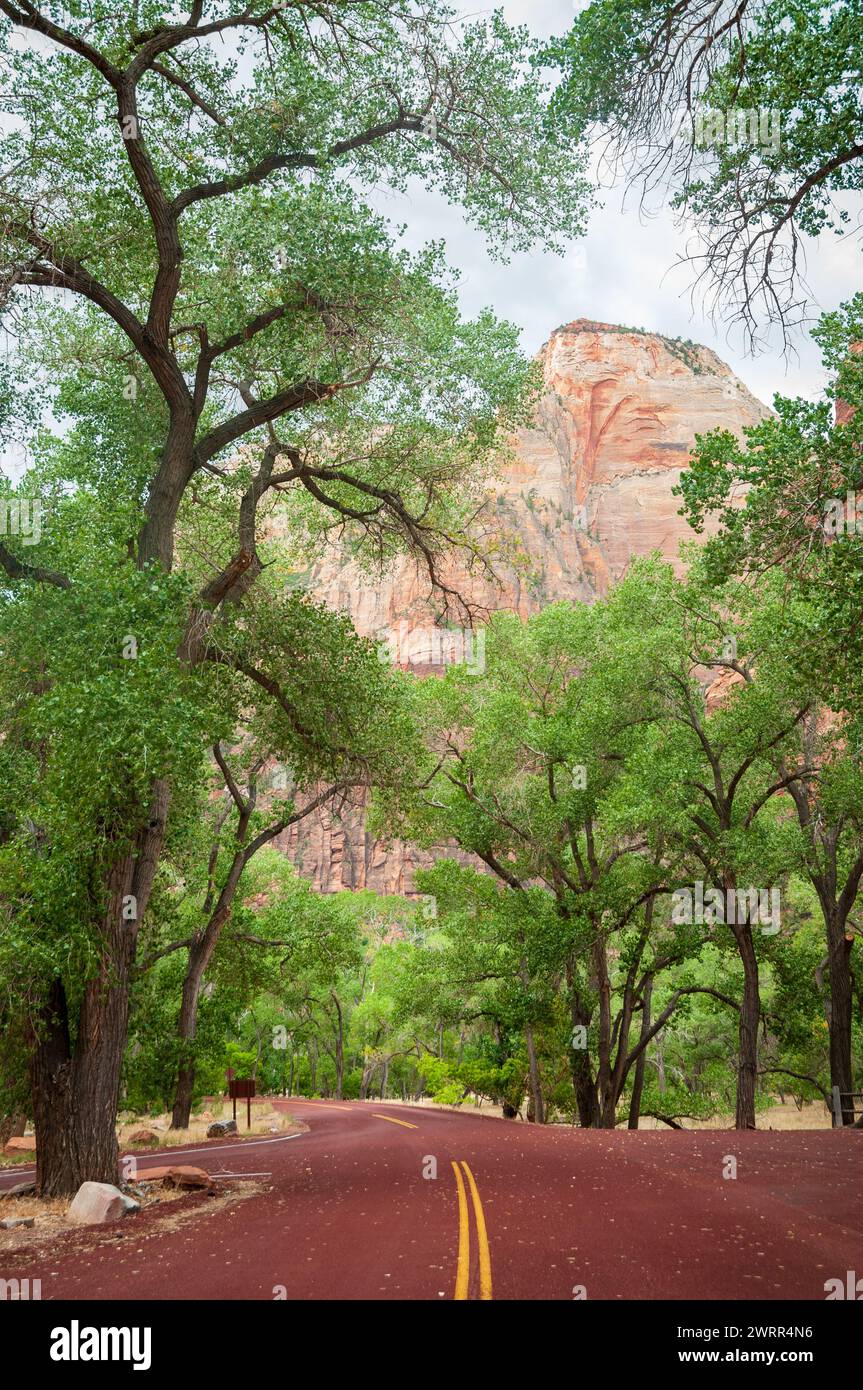 The Scenic Road Through Zion National Park in Utah, USA Stock Photo - Alamy