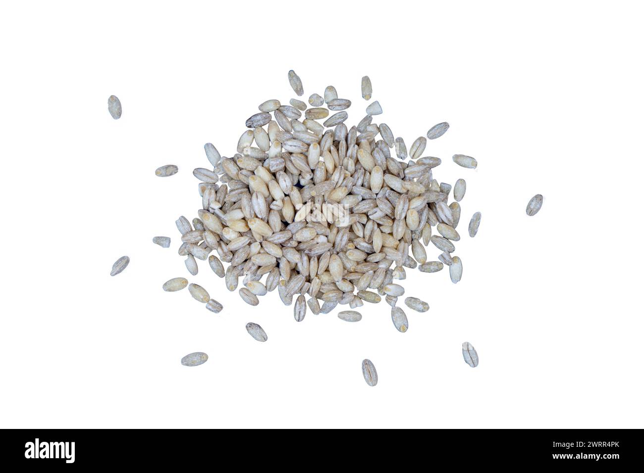a small pile of barley on a transparent background Stock Photo - Alamy