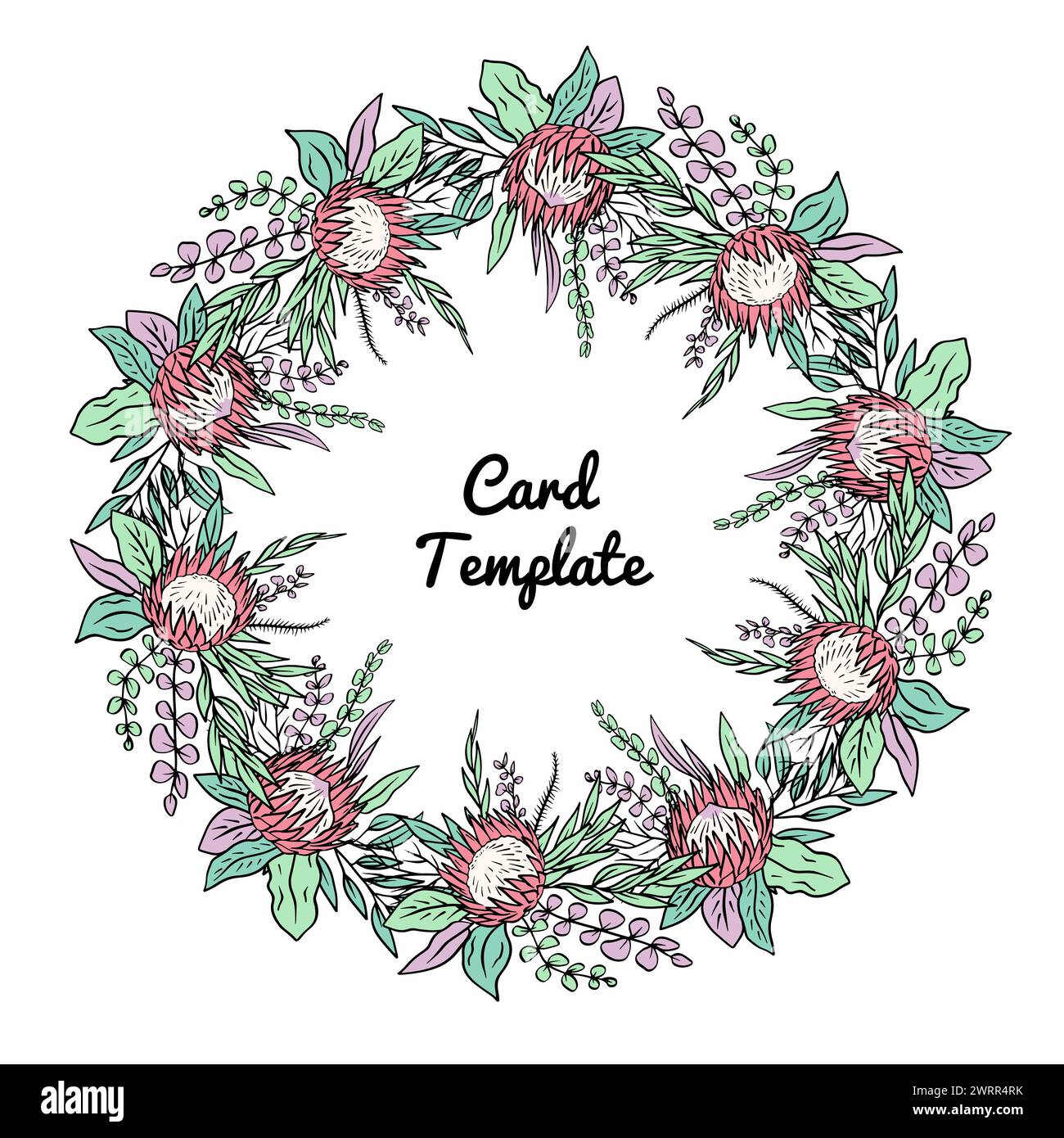 Hand drawn colorful line art tropical protea flower round frame Stock ...