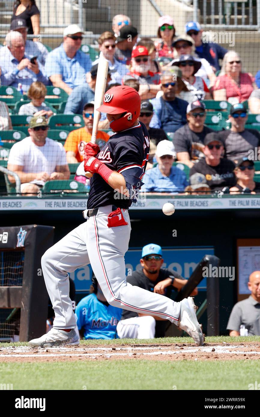 JUPITER, FL - MARCH 13: Washington Nationals left fielder Jacob Young ...