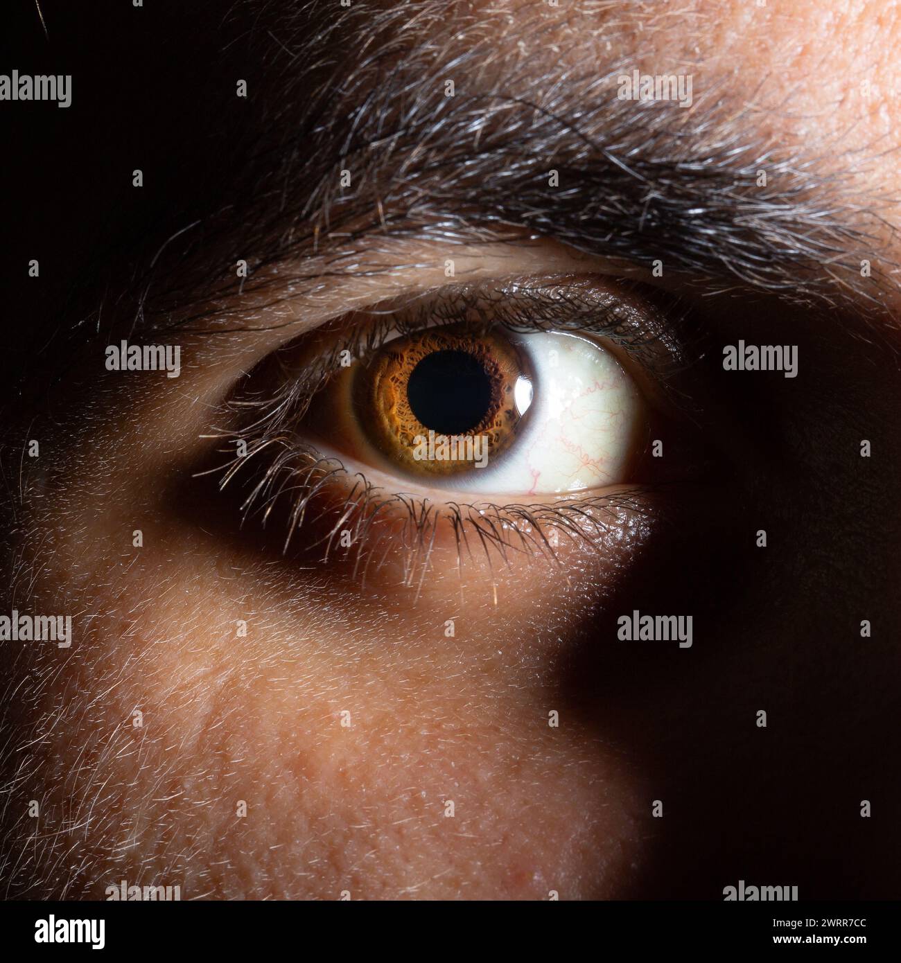 A powerful and intimate macro shot of a brown human eye, showing ...