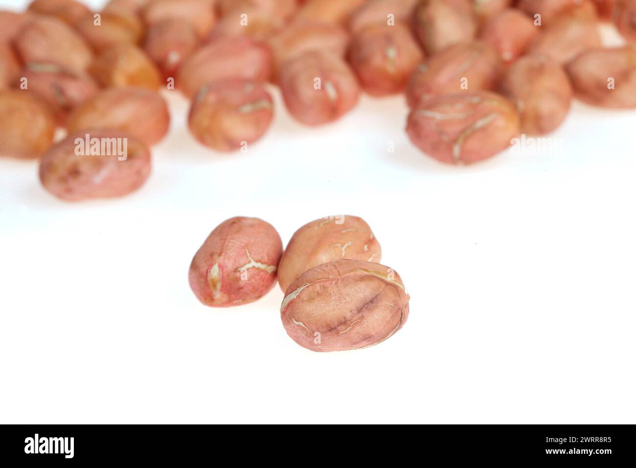 Peeled peanut kernels isolated on a white background, shot up close ...