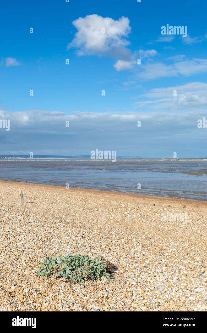 The pebble beach at Littlestone-on-sea on the Kent coast, with a blue ...