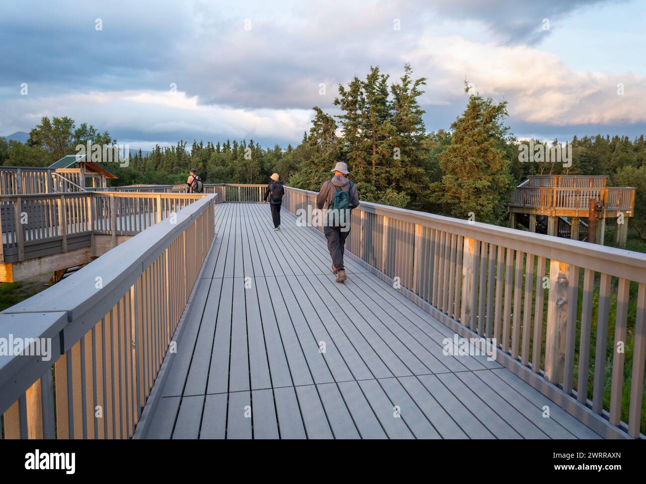 Wildlife viewing platform hi-res stock photography and images - Alamy