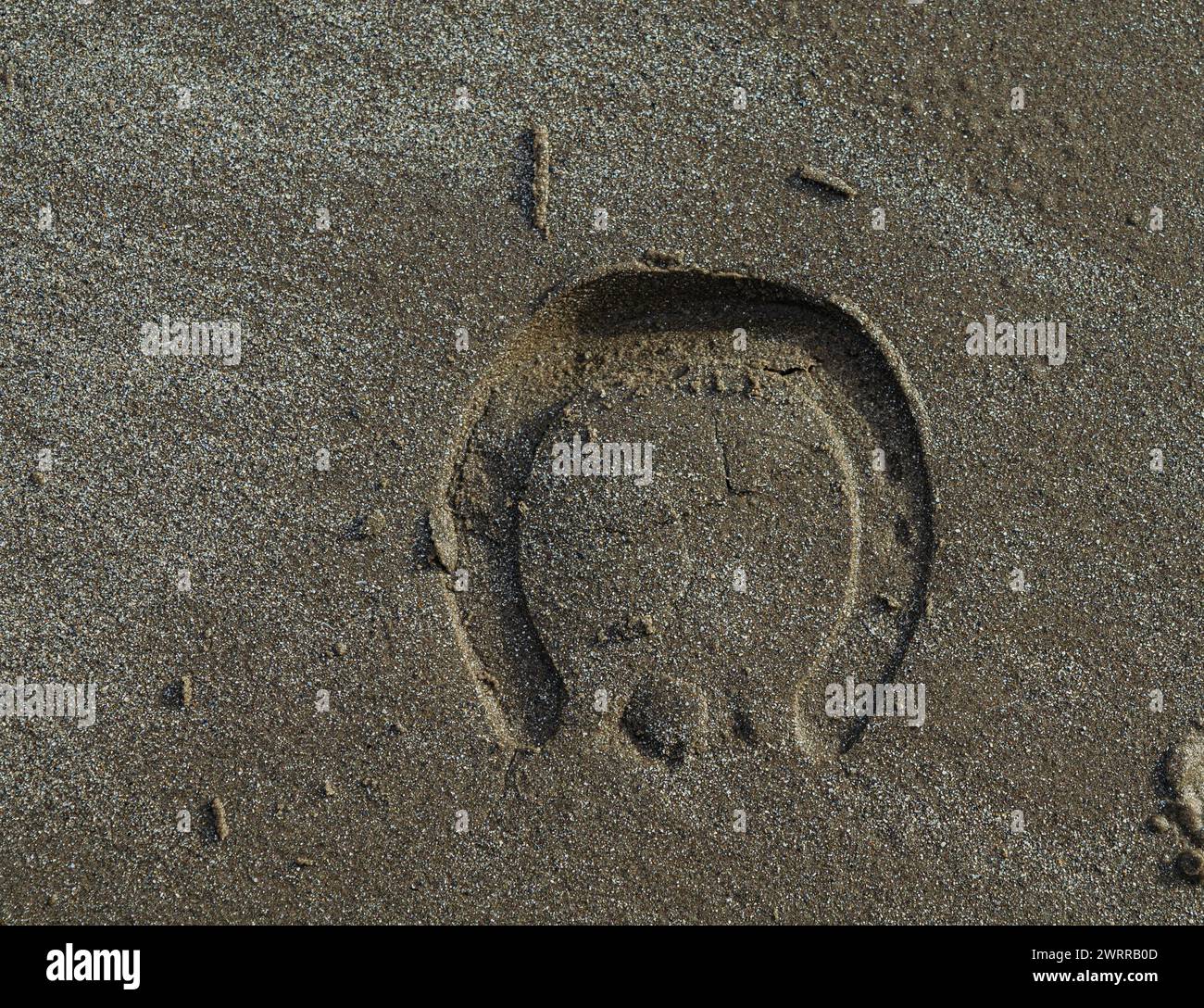 Single clear hoof print on Ballywalter beach County Down Stock Photo - Alamy