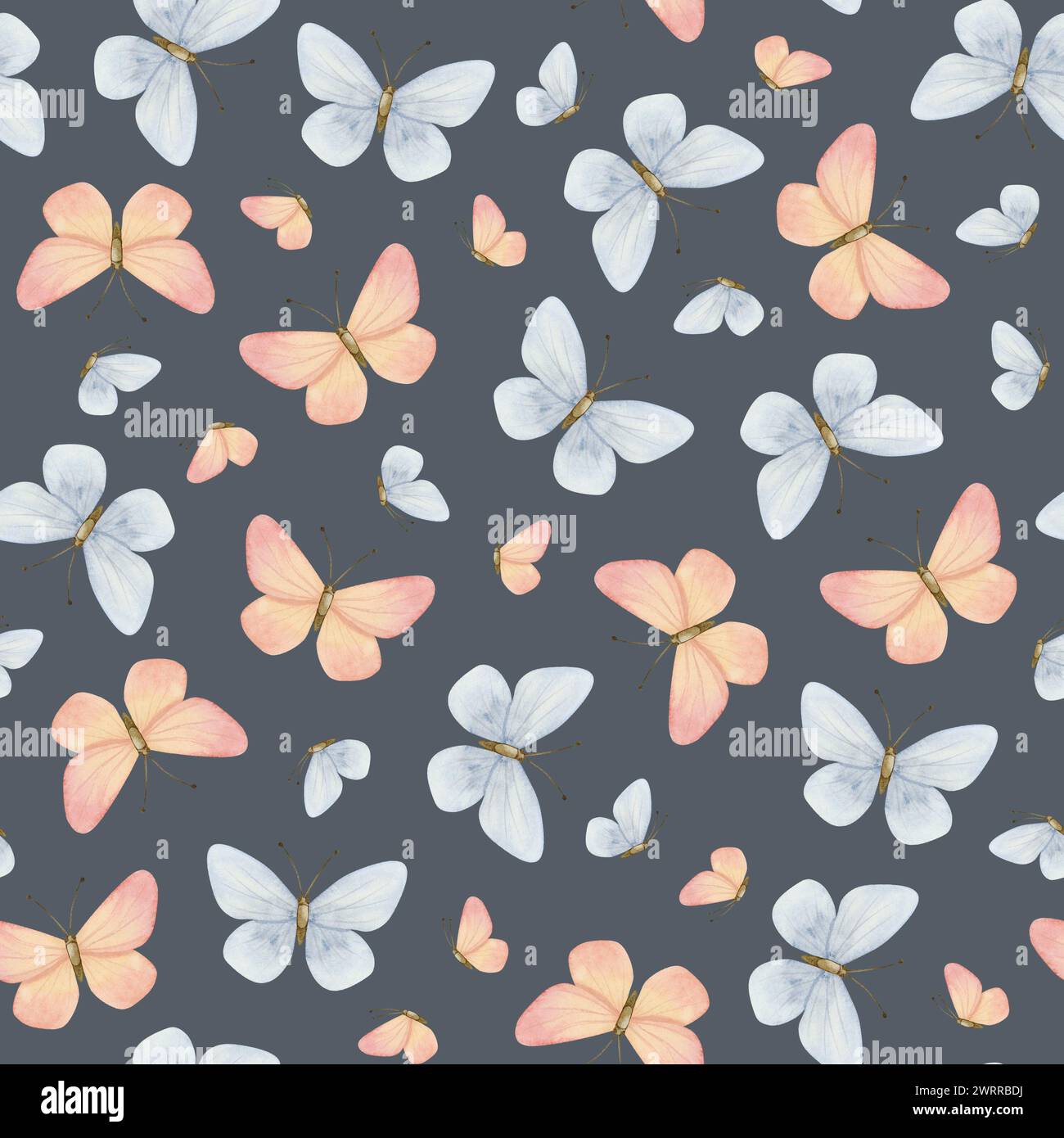 Dark blue pink butterfly hi-res stock photography and images - Alamy