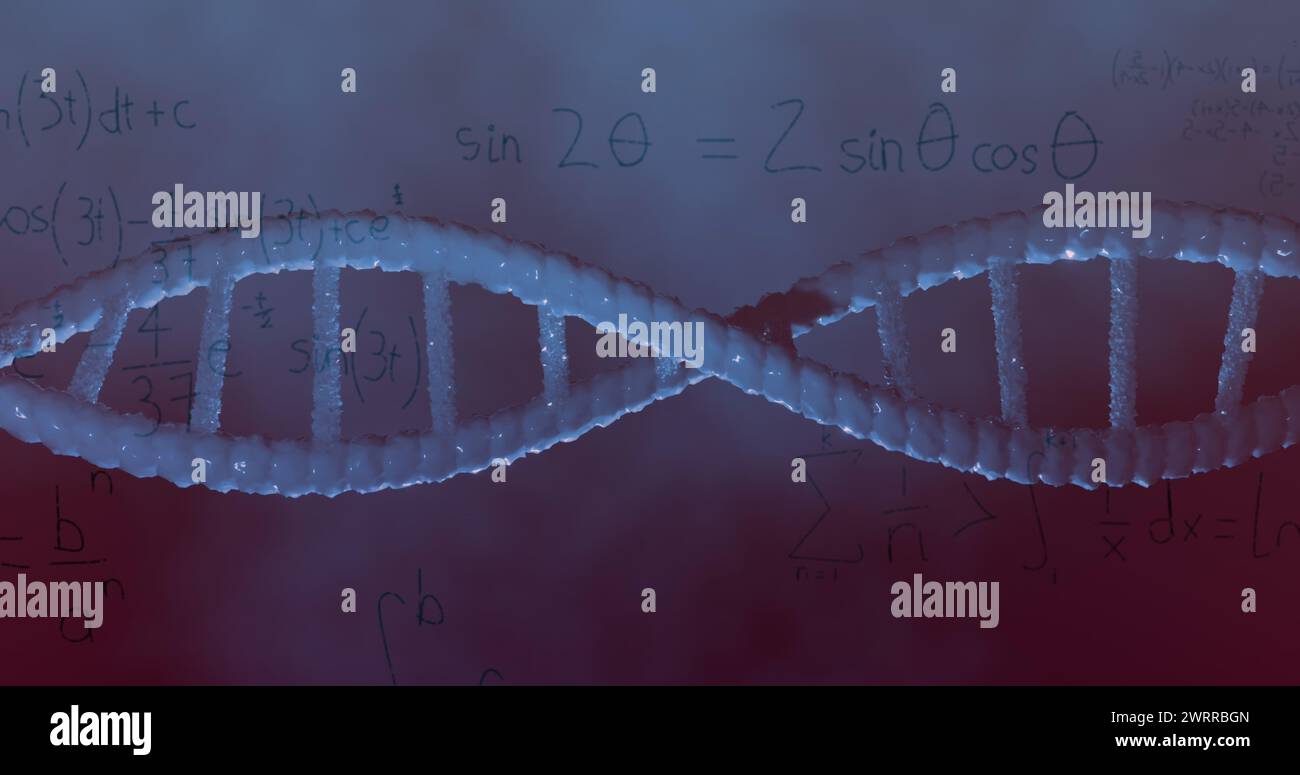 Image of dna rotating over math formulas on violet background Stock ...
