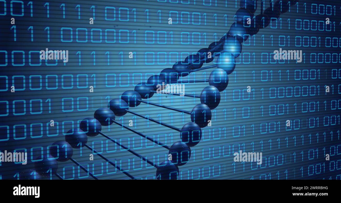 Image of dna rotating over binary code on blue background Stock Photo ...
