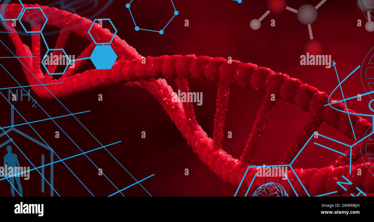 Image of dna rotating over chemical formulas on red background Stock ...