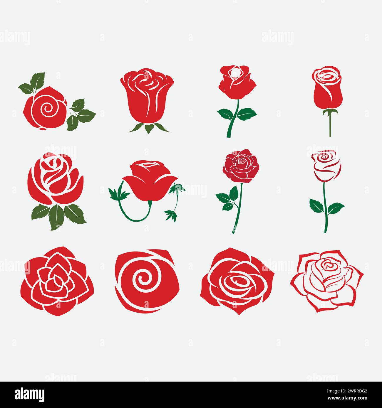 Vector collection of roses Stock Vector Image & Art - Alamy