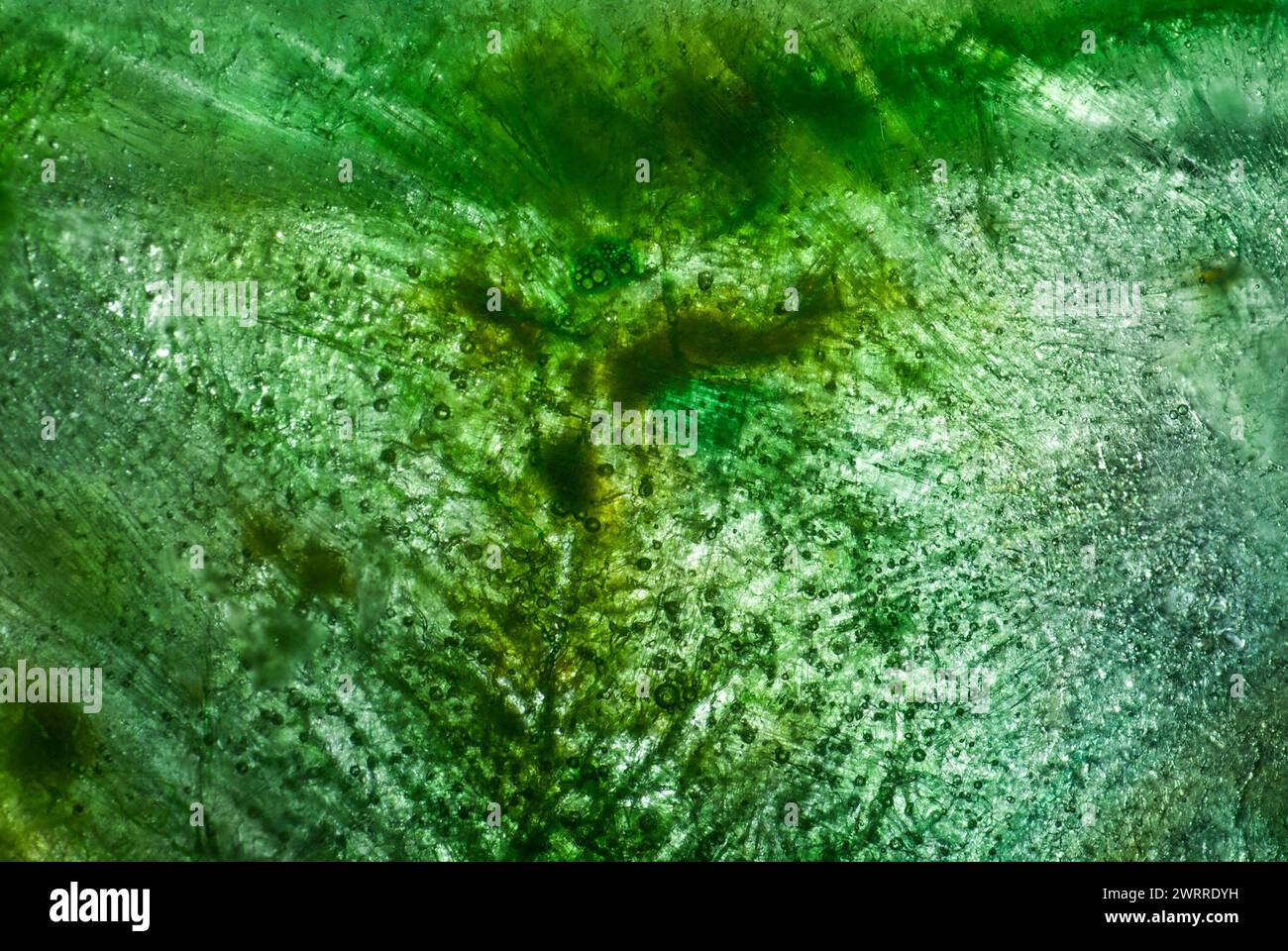 abstract back lit transparent green ice Stock Photo - Alamy
