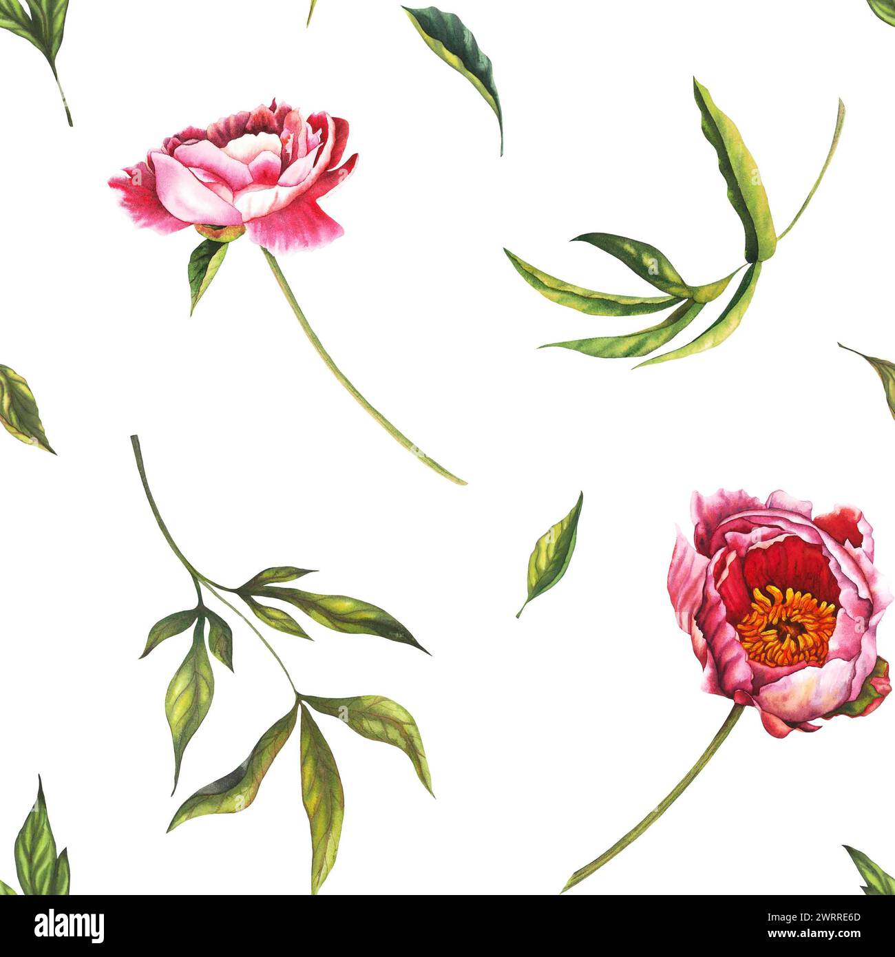 Watercolor peony simple bud Flower seamless pattern in pastel pink ...