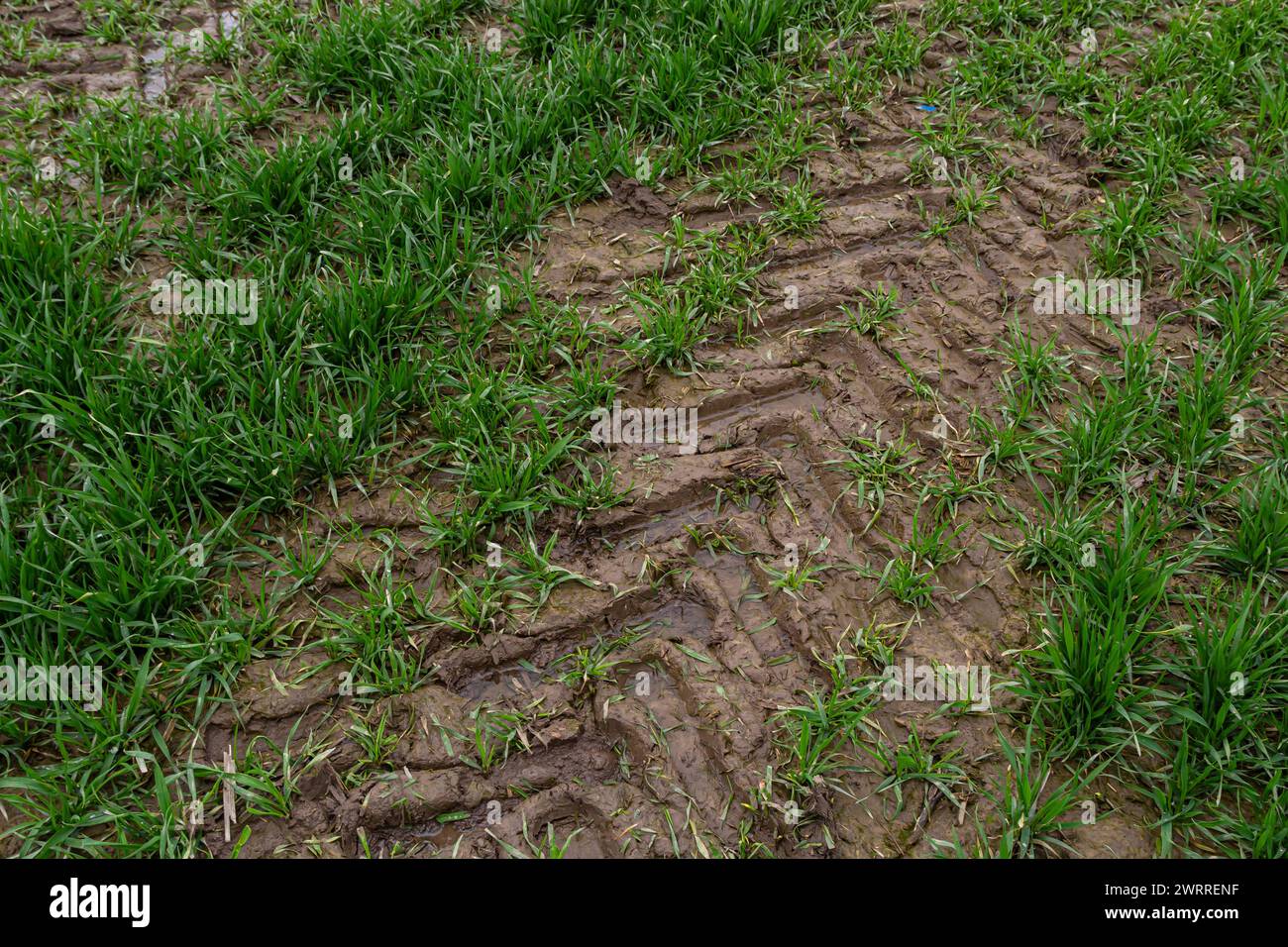 Dirt road with tractor hi-res stock photography and images - Alamy