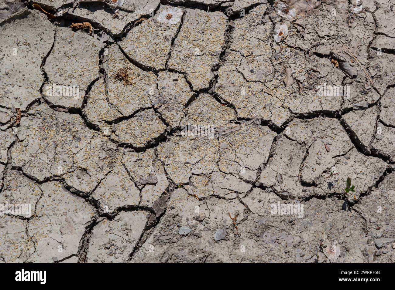 Wall texture soil dry crack pattern of drought lack of water of nature ...