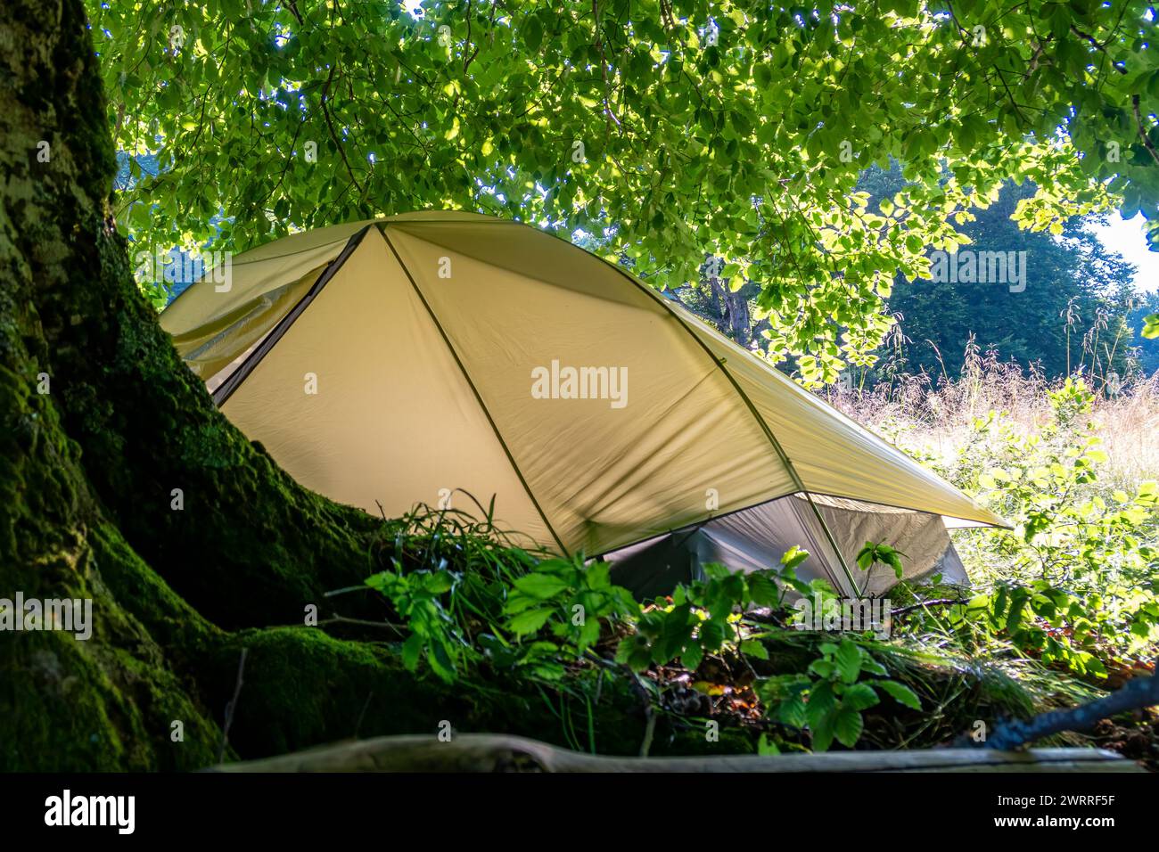Tent adventure hi-res stock photography and images - Alamy