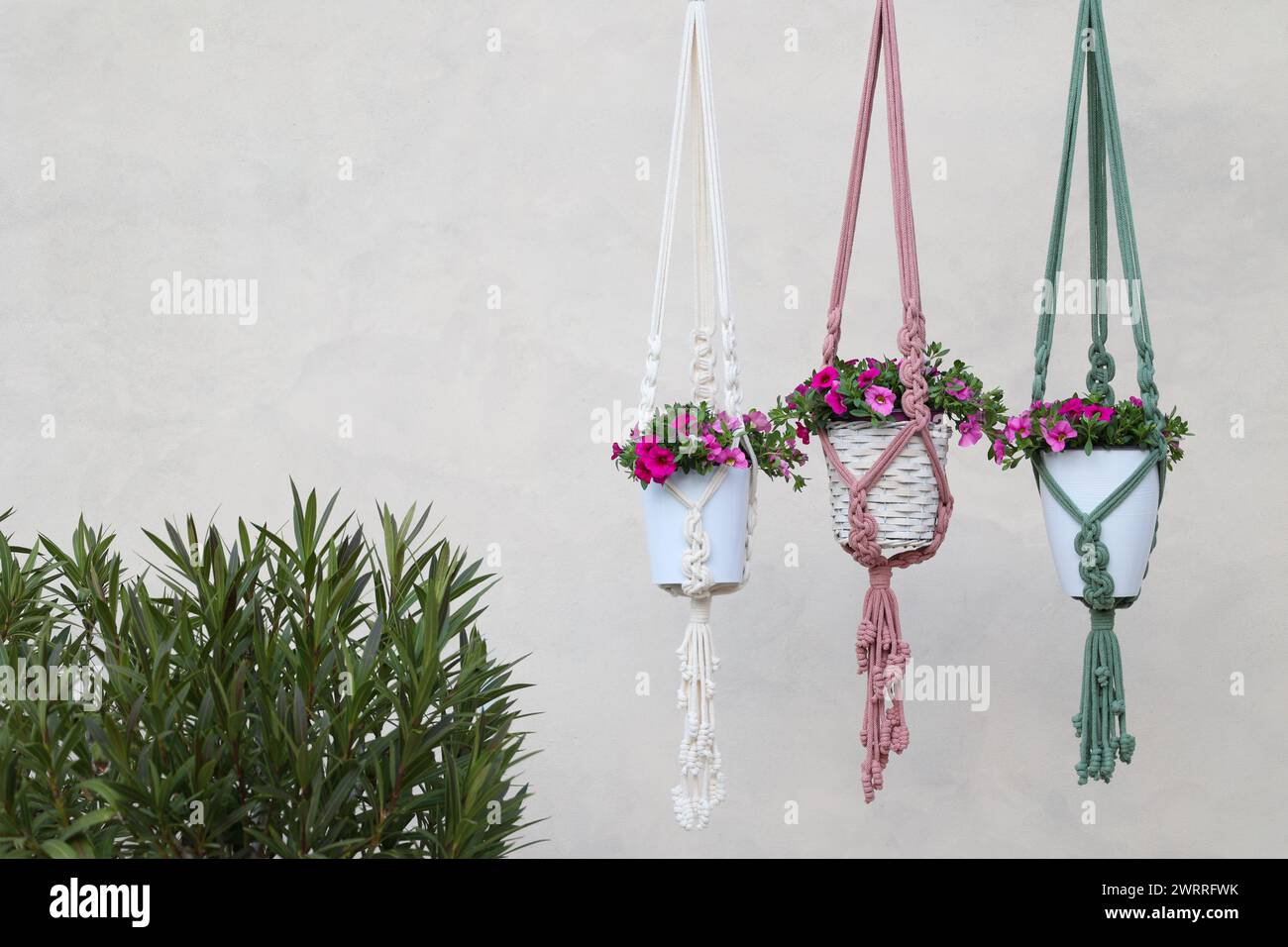three plant hangers with spring flowers in different colors against ...