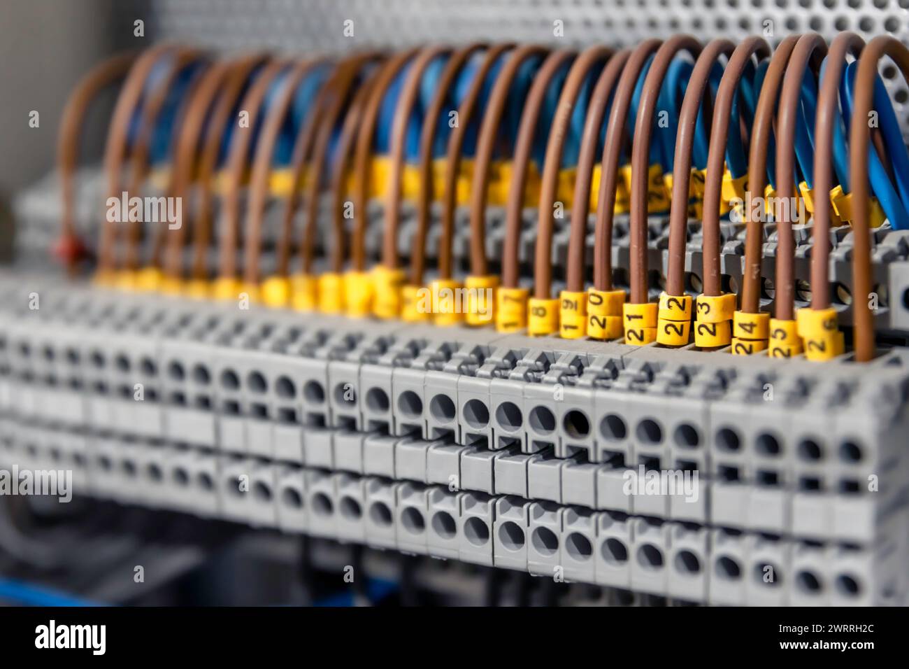 Electrical panel with fuses and contactors, close-up Stock Photo - Alamy