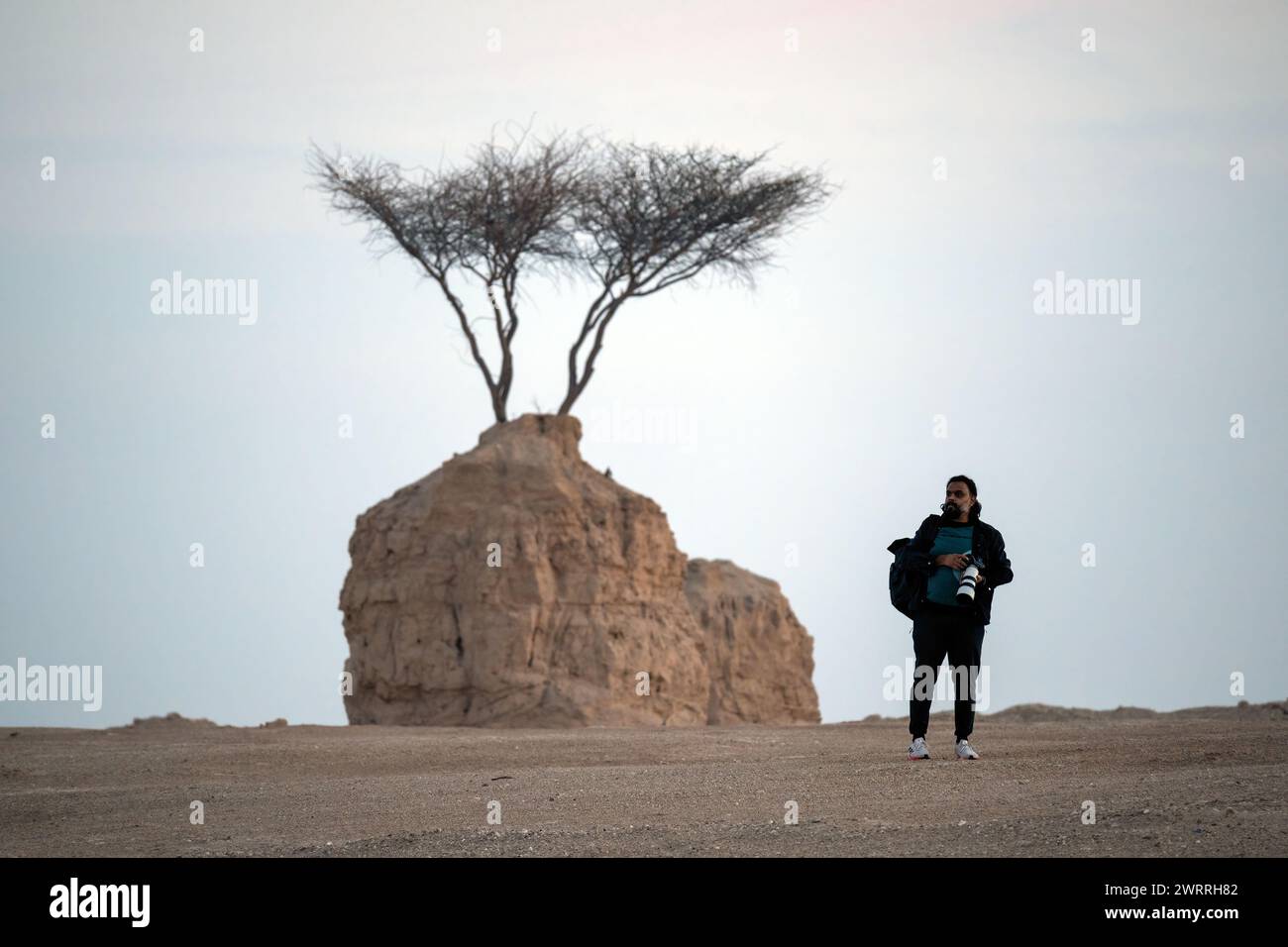Lonely Tree on Rock. clay quarry umbab Doha Stock Photo - Alamy