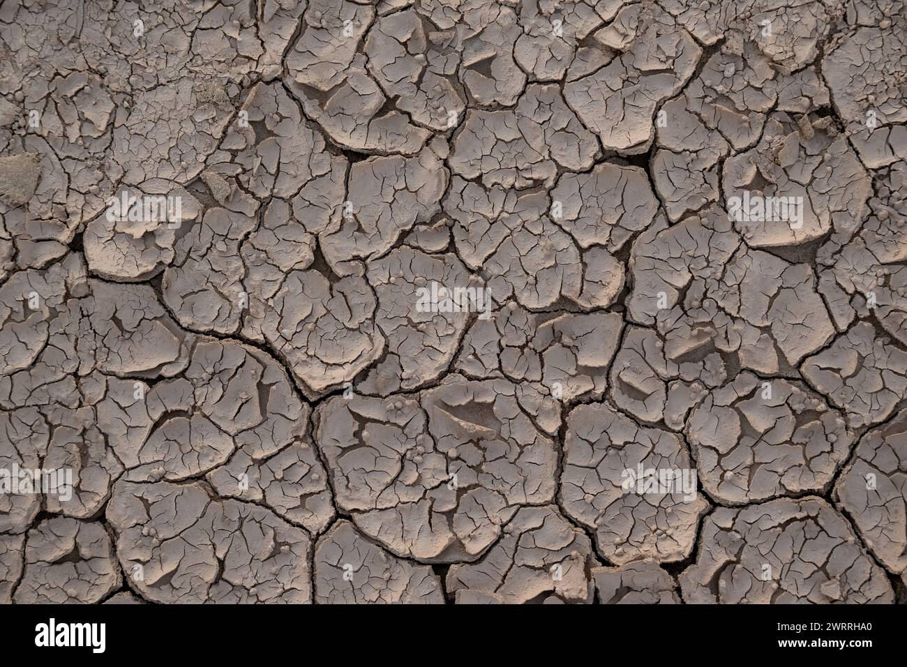 cracked clay ground into the dry season Stock Photo - Alamy